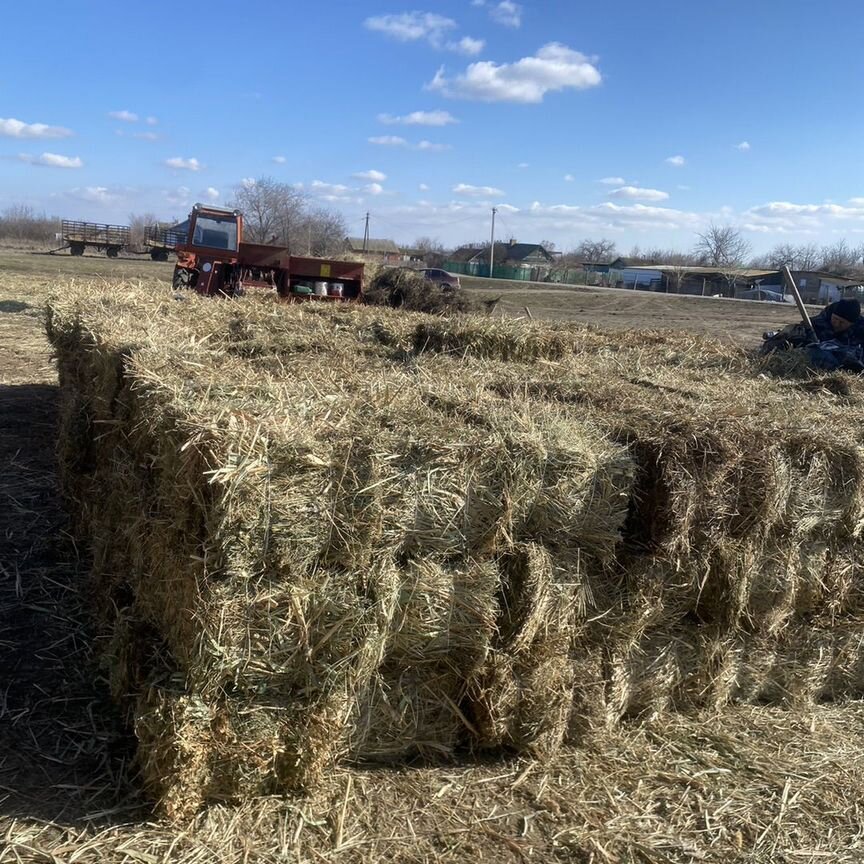 Сено в тюках