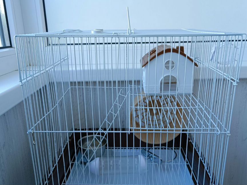 Клетка для грызунов бу