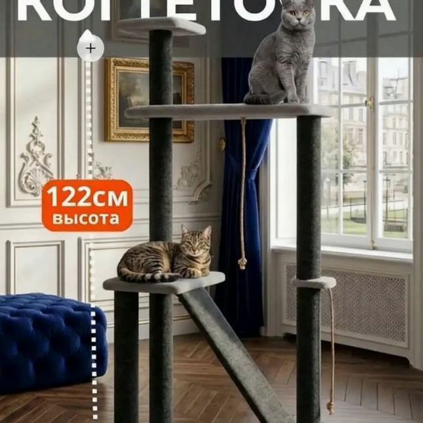 Когтеточка