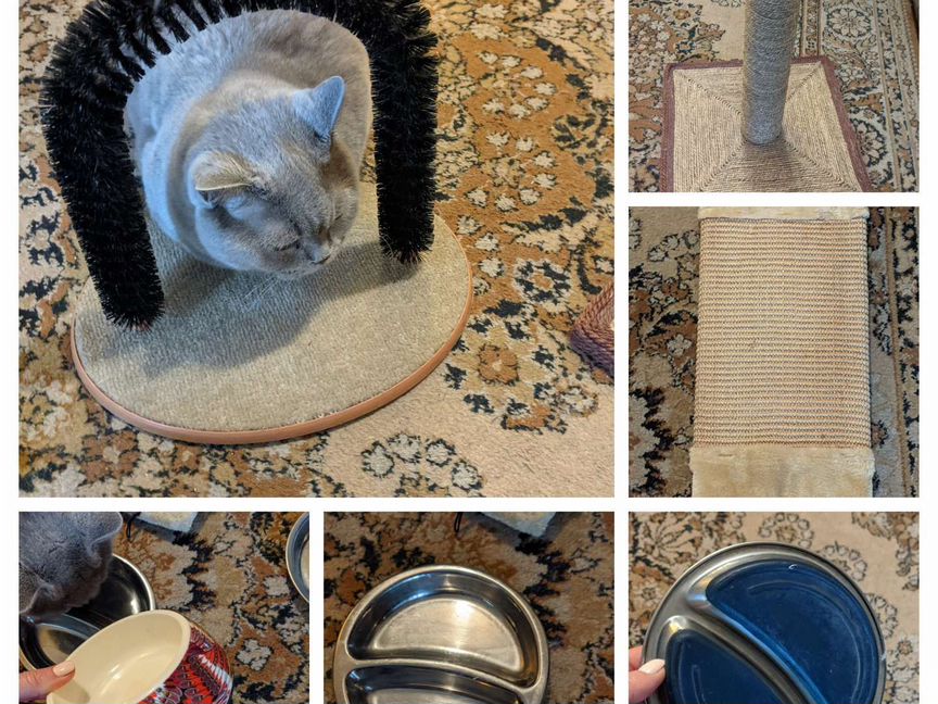 Когтеточка,чесалка,3 тарелки