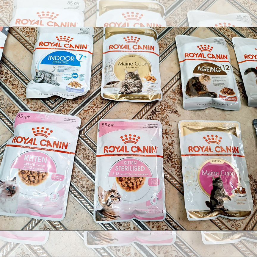 Корм для кошек и котят Royal Canin, премиум