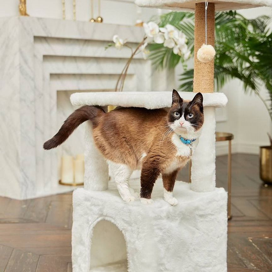 Домик для кошки с когтеточкой