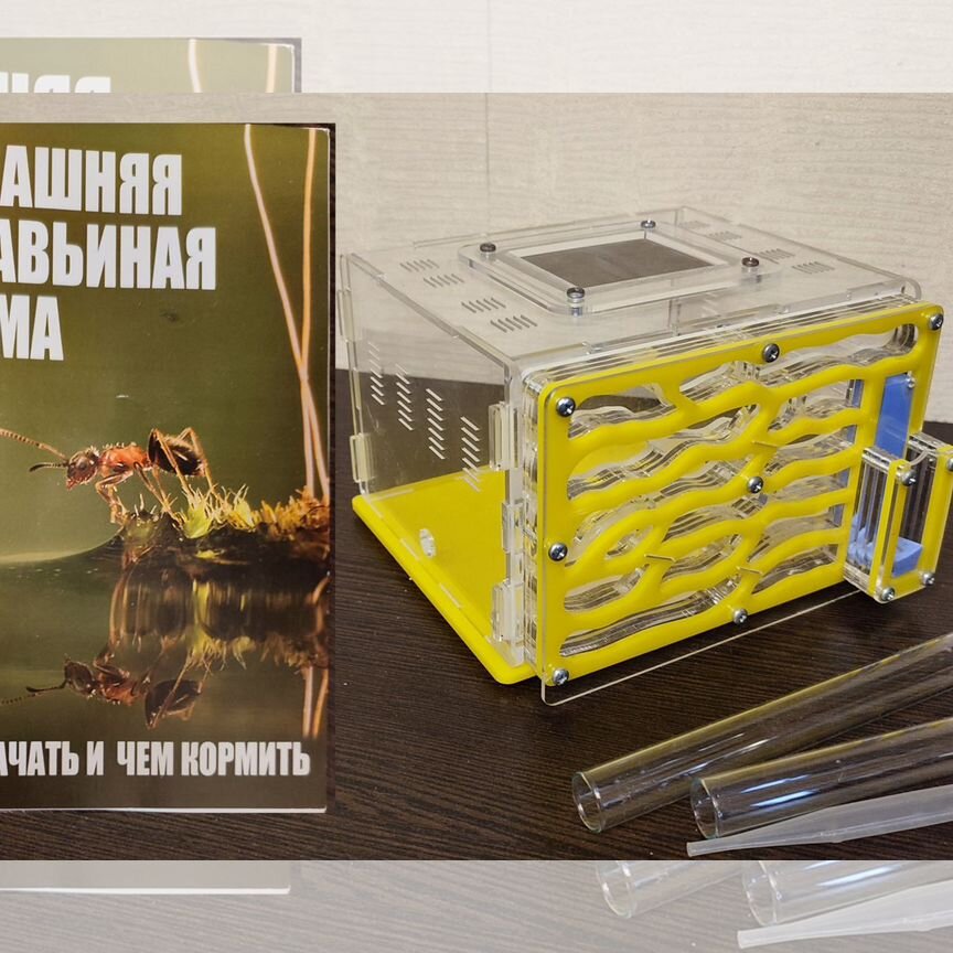Муравьиная ферма