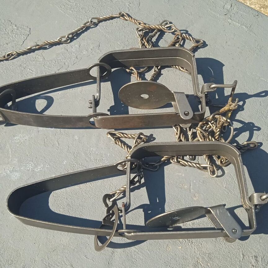 Капкан для крыс