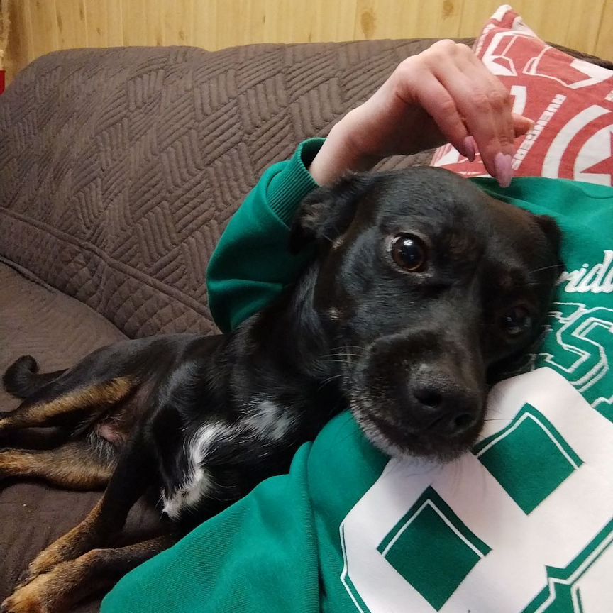 Девочка 2 года