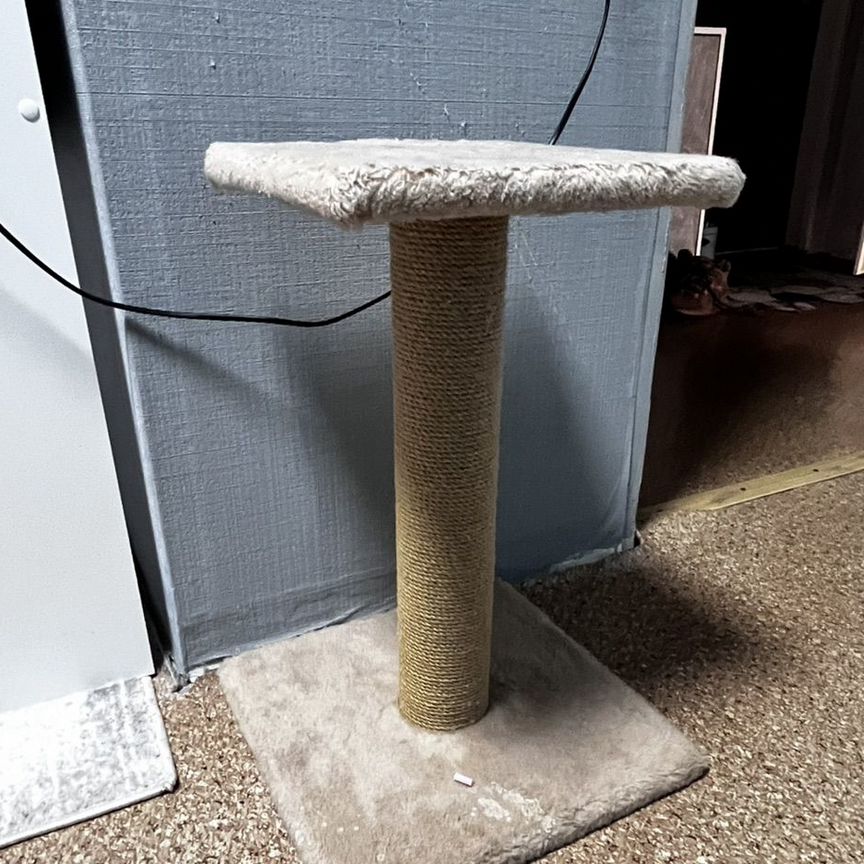 Когтеточка