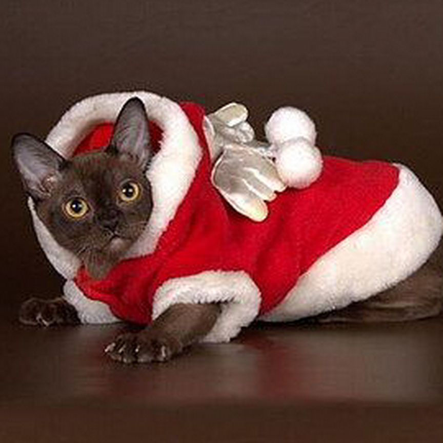 Американские бурмы