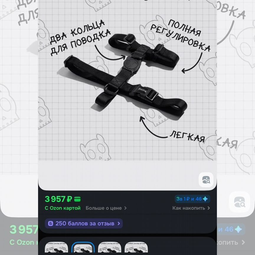 Шлейка gotham Zee.Dog (M / черный) бу