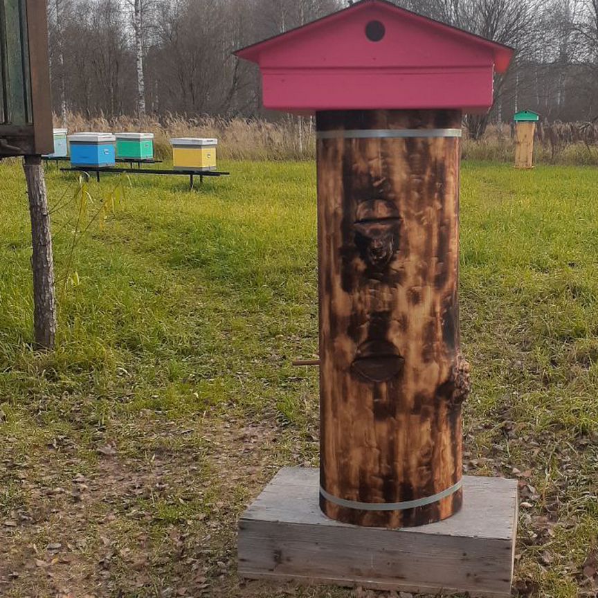 Колода для пчёл