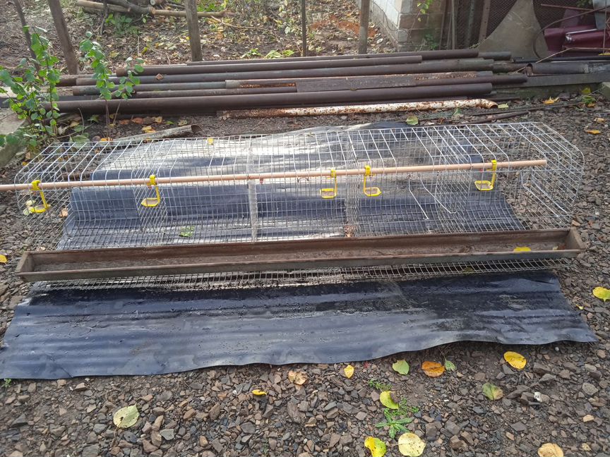 Клетка для птицы