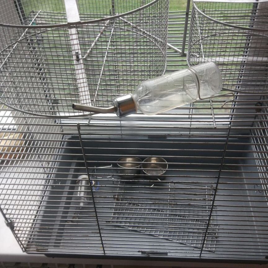 Клетка для крыс шиншиллы и других крупных грызунов