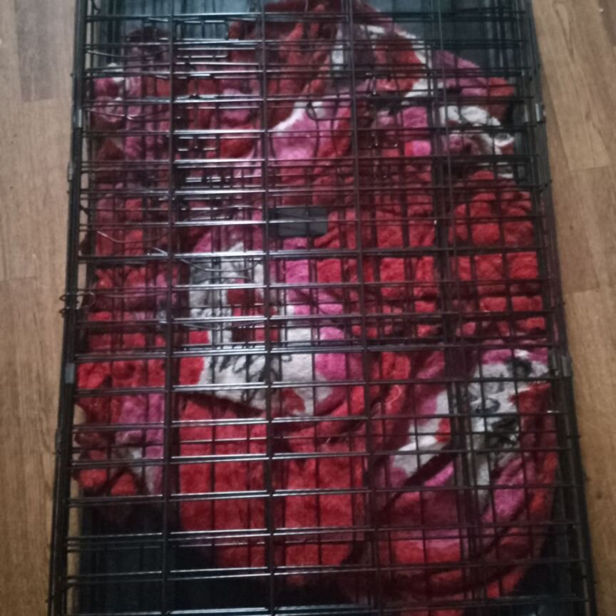 Клетка для собак номер 4