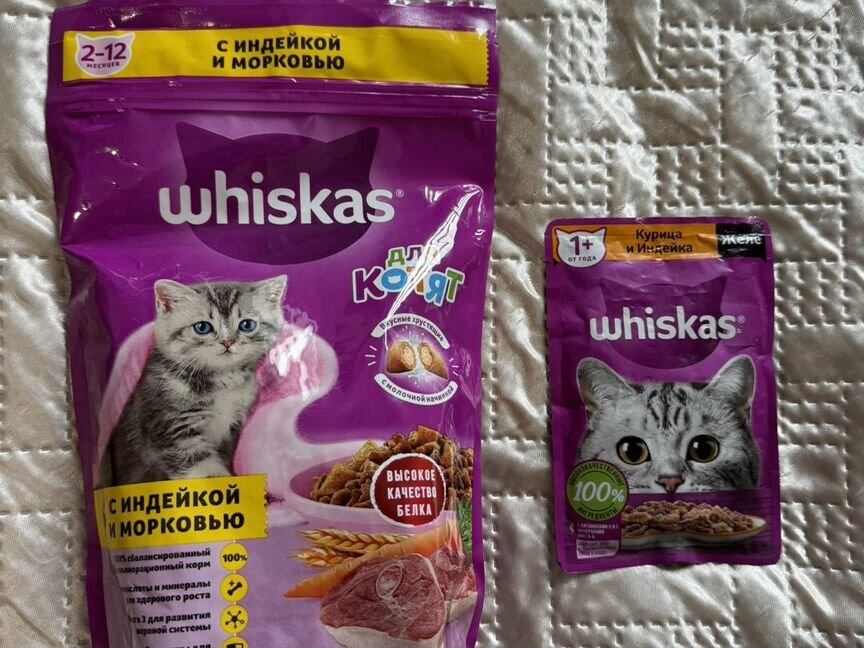 Корм для котят