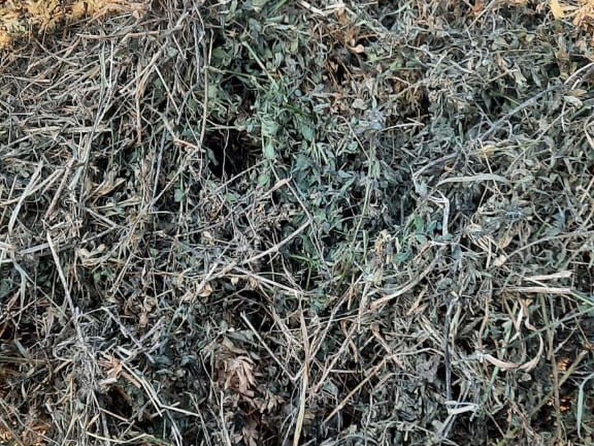 Люцерна в рулонах