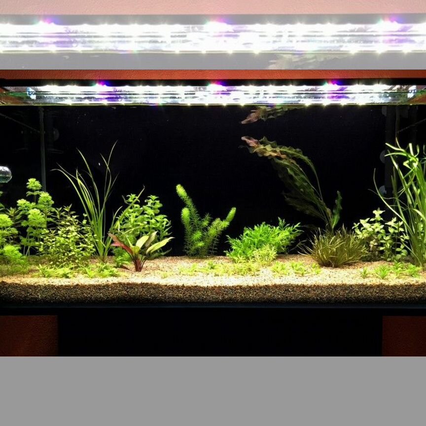 Большие аквариумы от 1000 литров