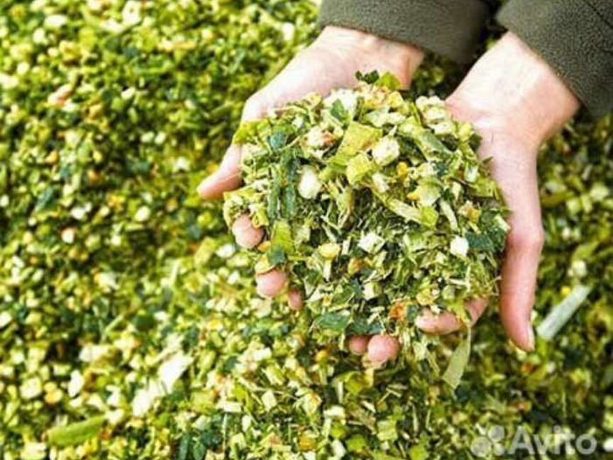 Силос кукурузой сенаж люцерновый