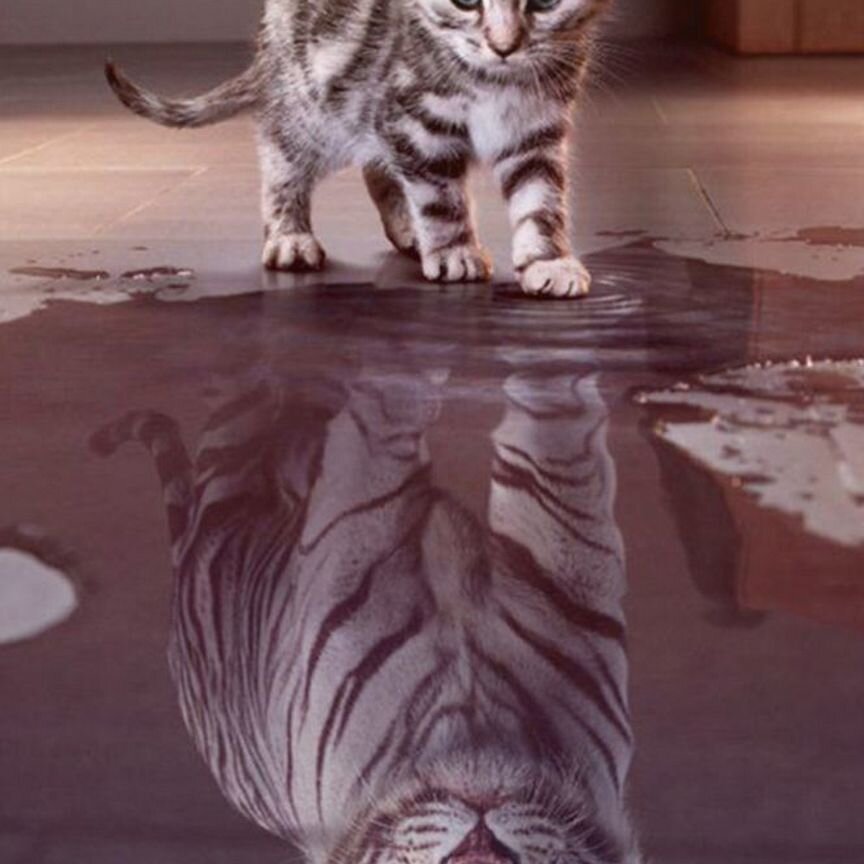 Отдам собаку сторожевую в хорошие руки