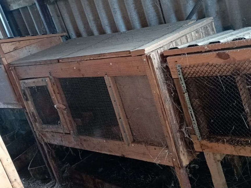 Крольчатник