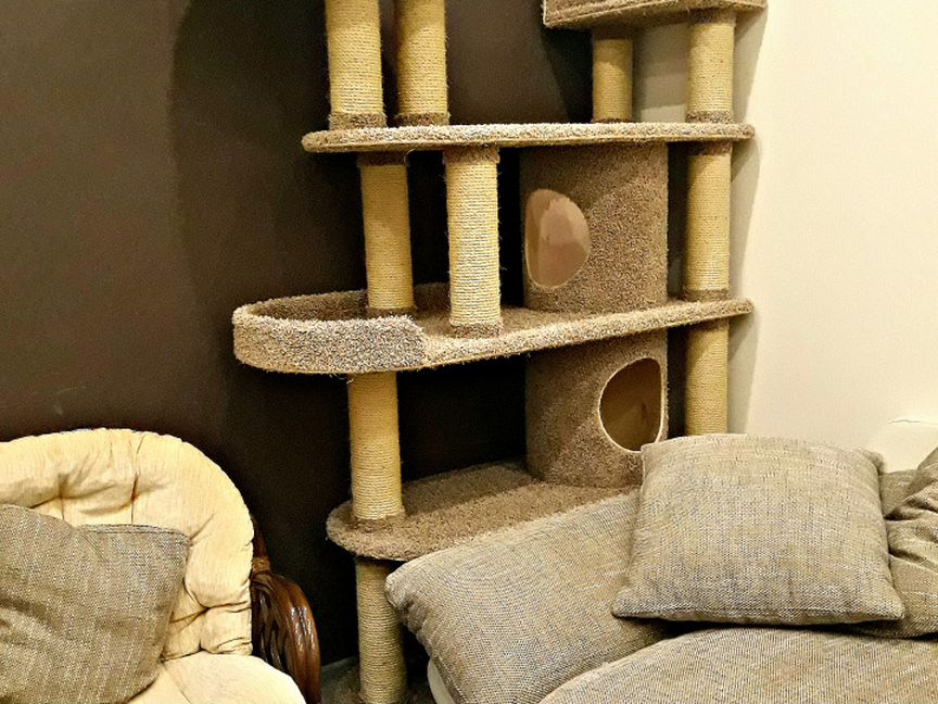 Когтеточка,комплекс для кошек