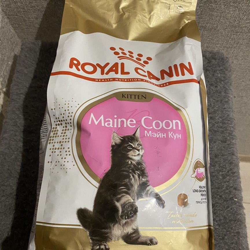 Royal Canin Maine Coon Kitten