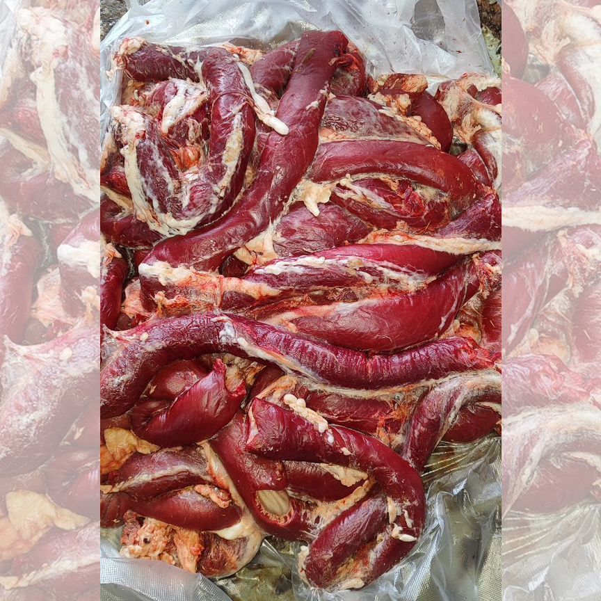 Пищевод говяжий