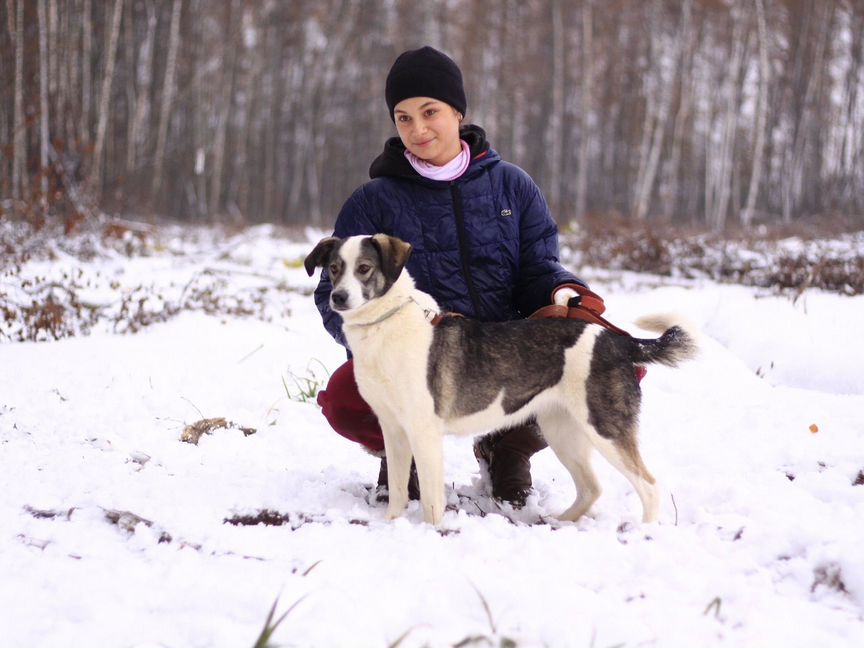 Собачка в добрые руки