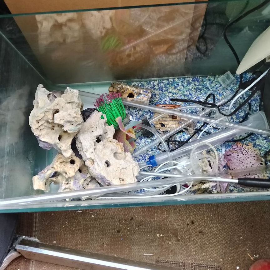 Аквариум