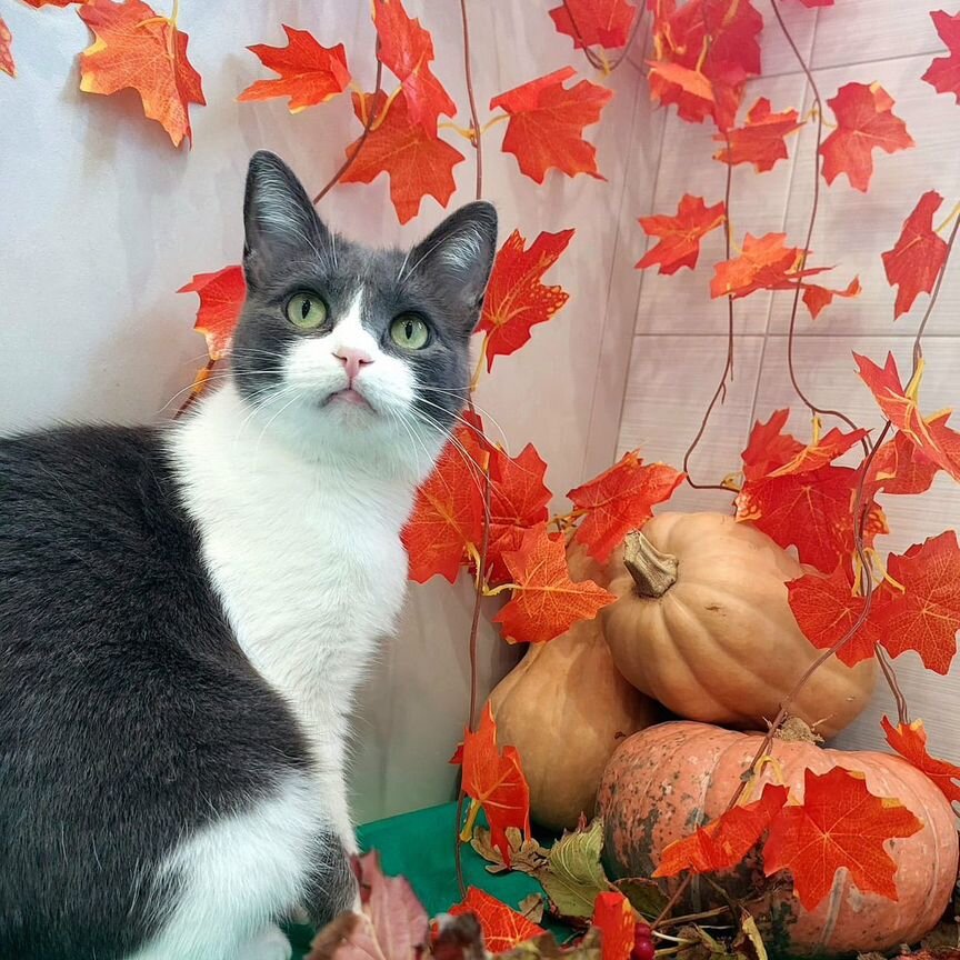 Я хочу к тебе