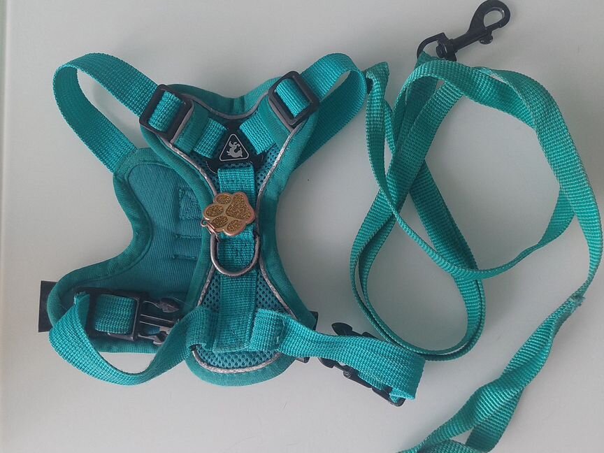 Шлейка анатомическая для собак + поводок