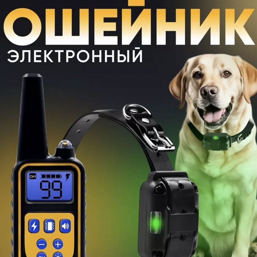 Электронный ошейник