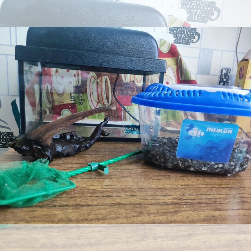 Набор для первого аквариумиста