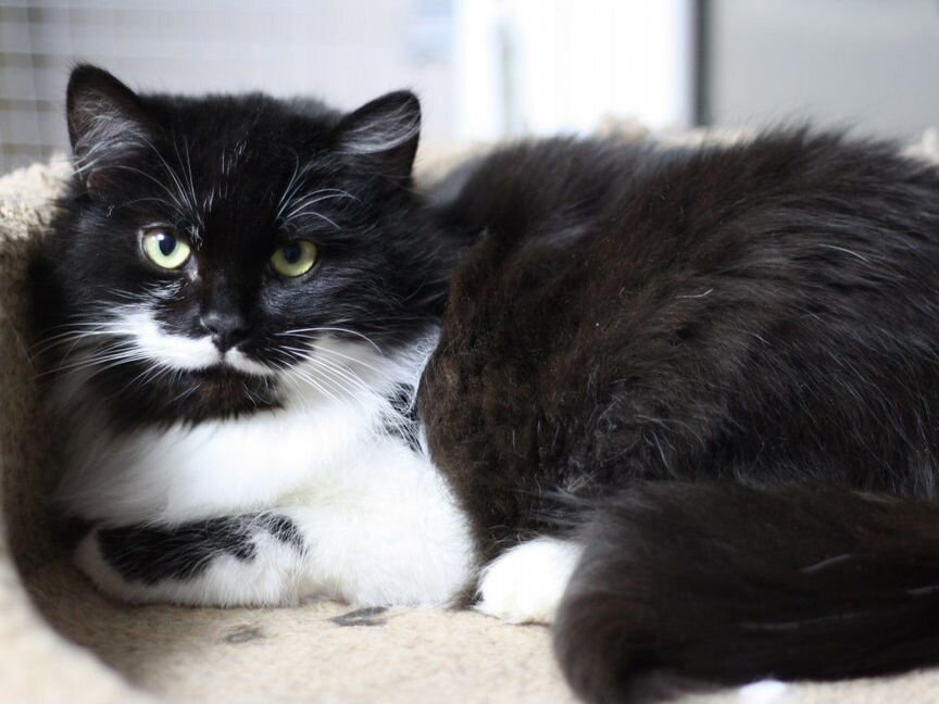 Никто не замечает