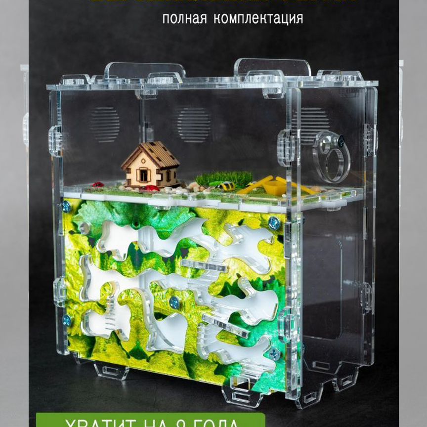 Муравьиная ферма вертикальная