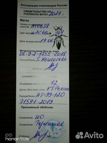 Неплодные матки от ио