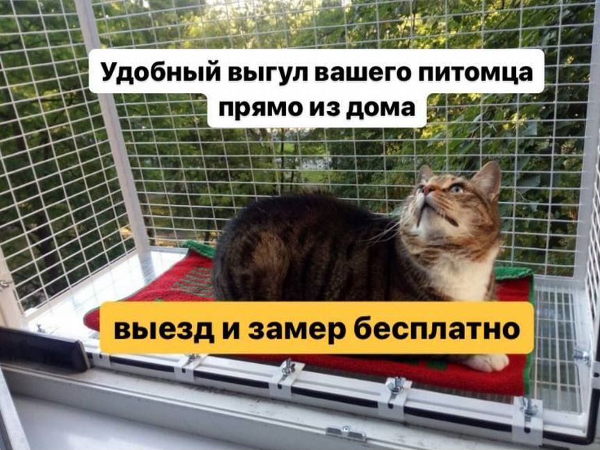 Балкон для кошек