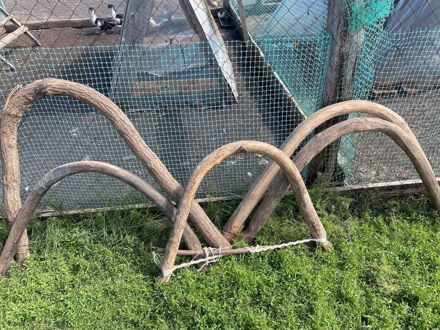 Дуга для лошади