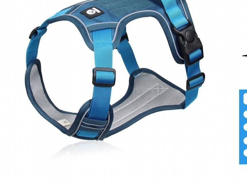 Комбенизон и шлейка для собак