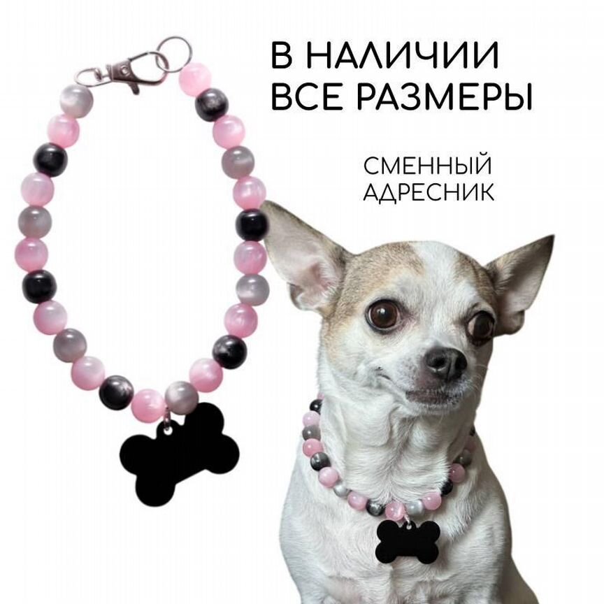 Адресник для собаки
