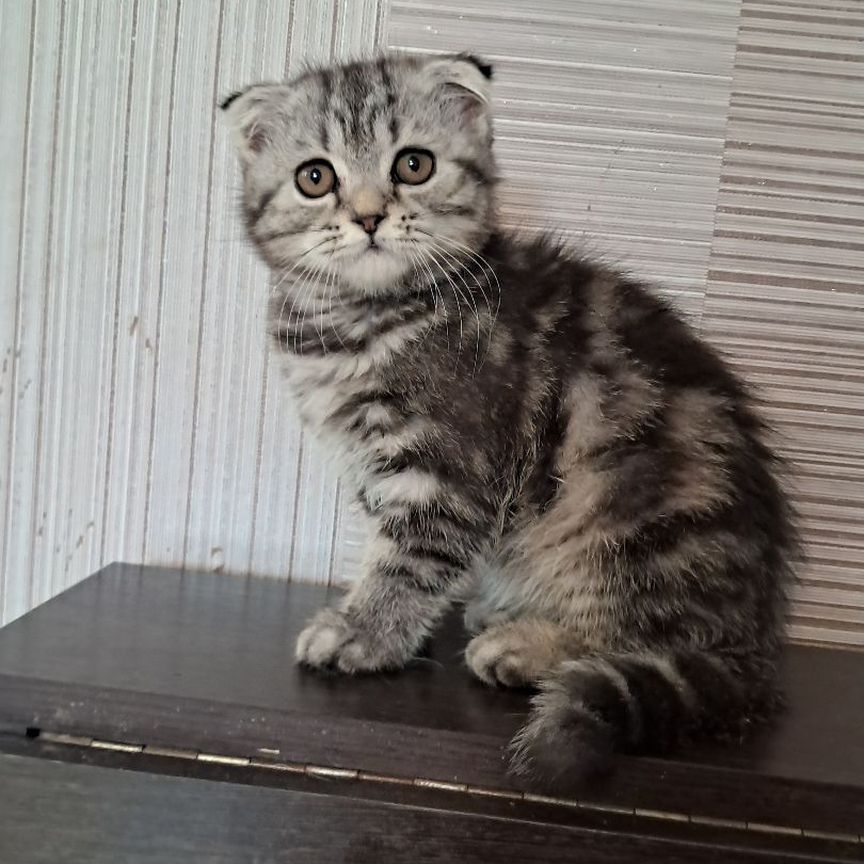 Мраморная красавица