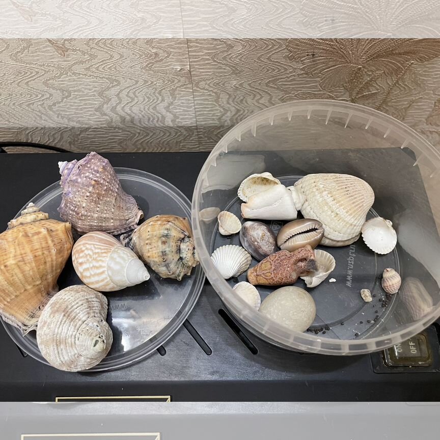 Декорации для аквариума Грот, Ракушки, Шарики