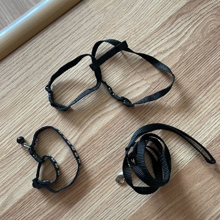 Шлейка и ошейник для кошки