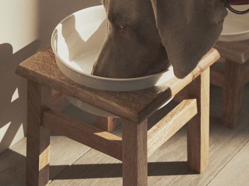 Миска для собак Zara home