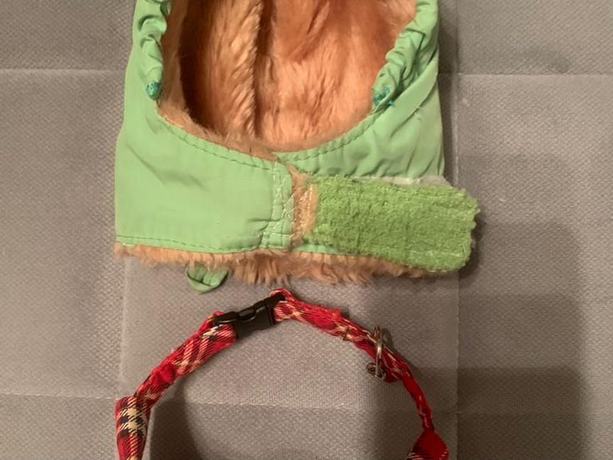 Шапочка и галстук на маленькую собачку