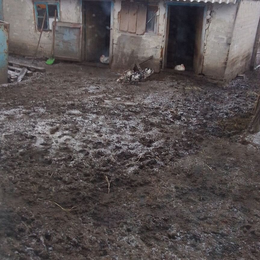 Продам индоуток