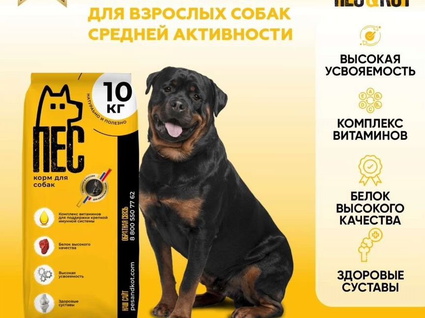 Корм для собак сухой