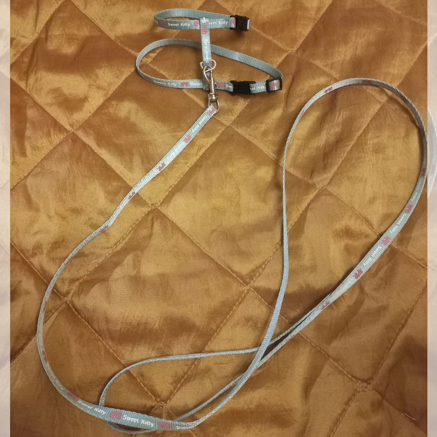 Шлейка для кота