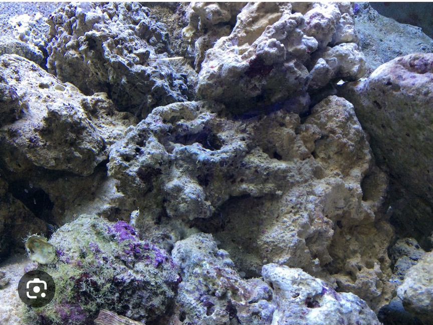 Живые камни для морского аквариума