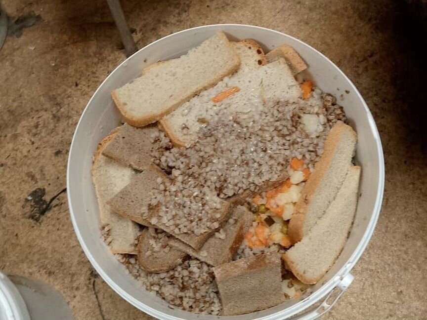 Пищевые отходы для животных