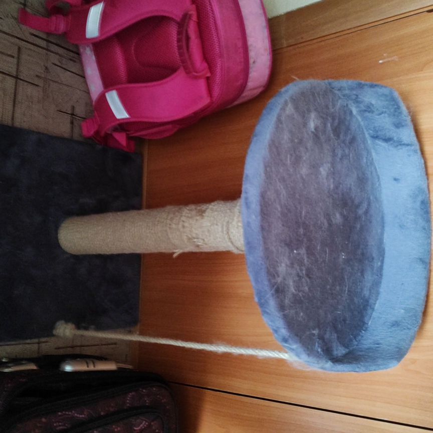 Когтеточка бу