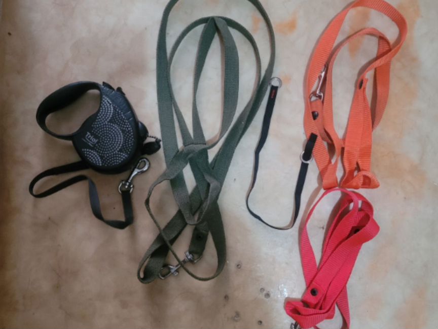 Поводок для собак